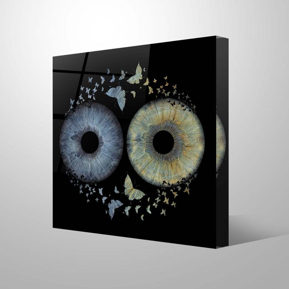 The Anatomy And Function Of The Iris A Scientific Overview Eyeshot Nl